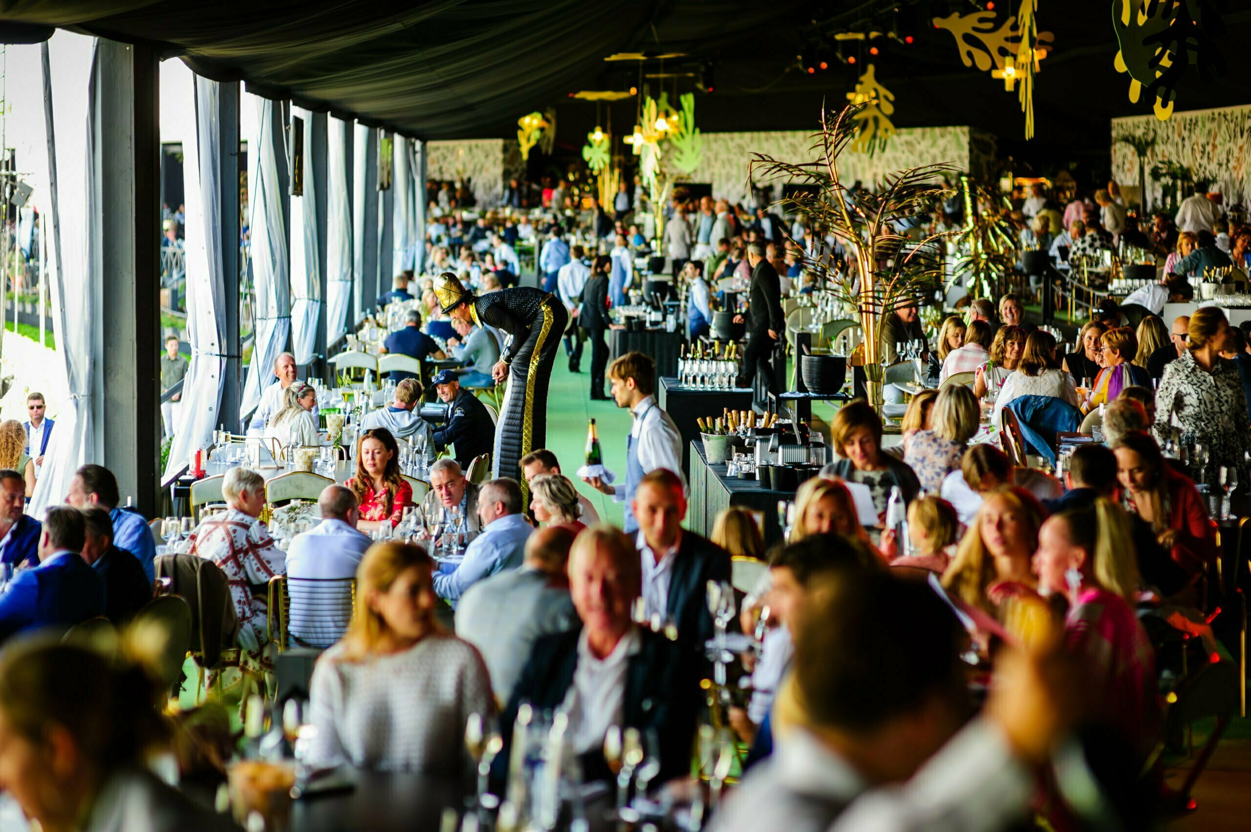 Brussel Stephex Masters - Stephex Events