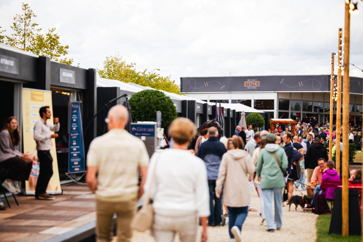 10 days before the 10th edition of the Brussels Stephex Masters: a ...